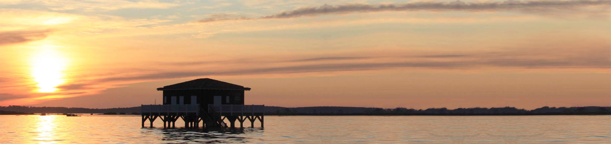 Iremia Patrimoine | Conseil en Gestion de Patrimoine